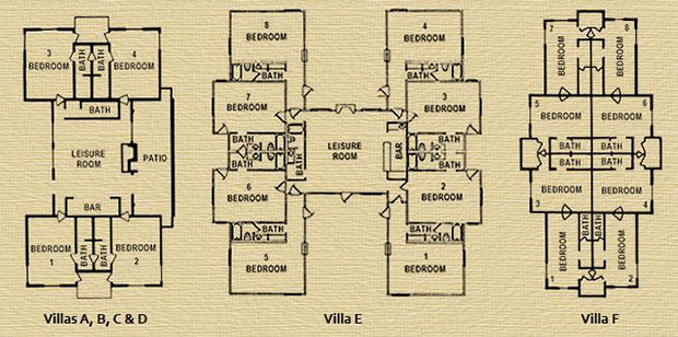 Manager's Corner | Willow Leaf | February 2014